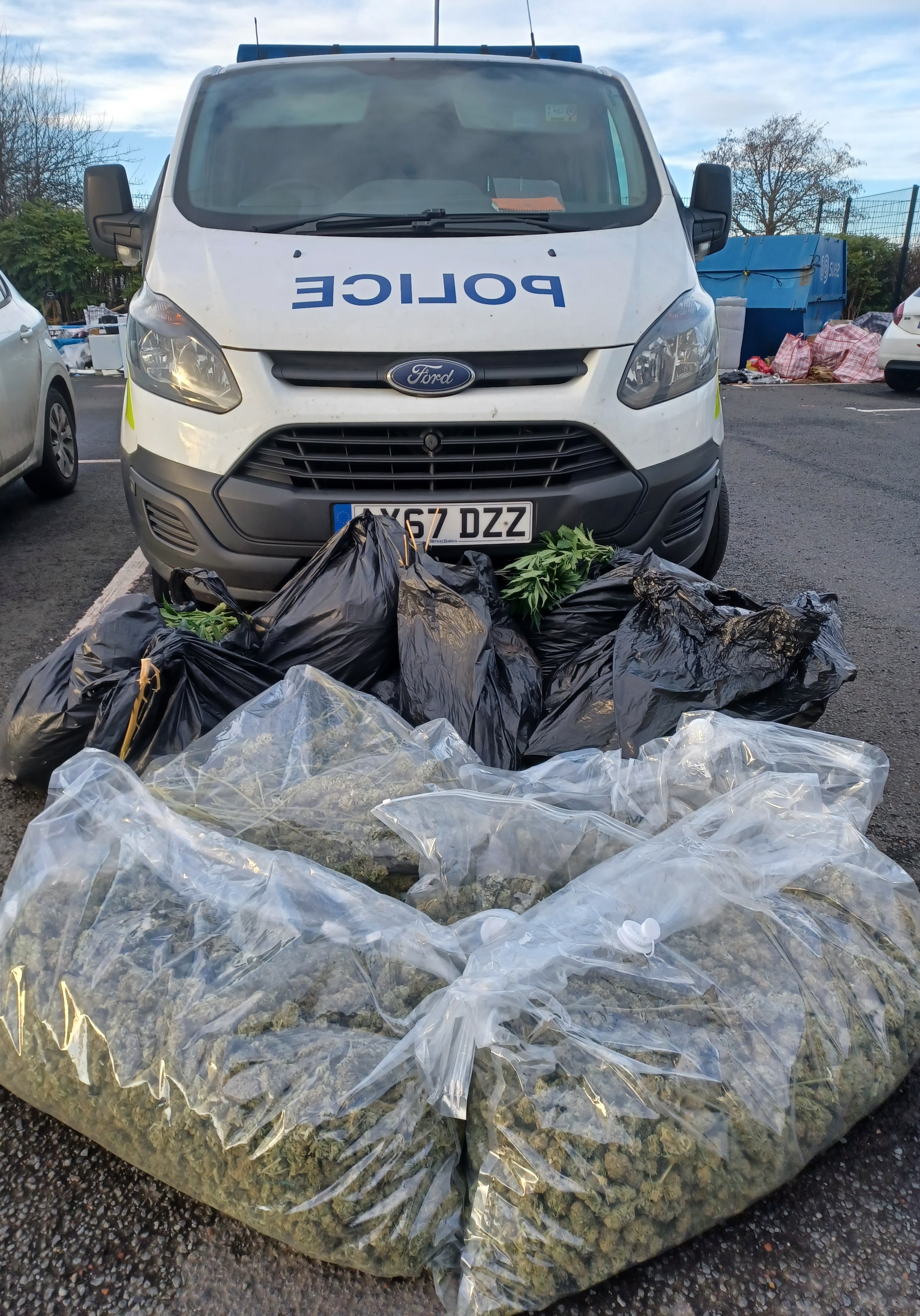 Cannabis Farm Worth Around £175,000 Seized in Middlesbrough | Cleveland ...
